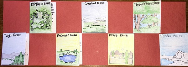 10 Ecosystem Project Ideas The Owl Teacher 10-ecosystem-project-ideas-the-owl-teacher