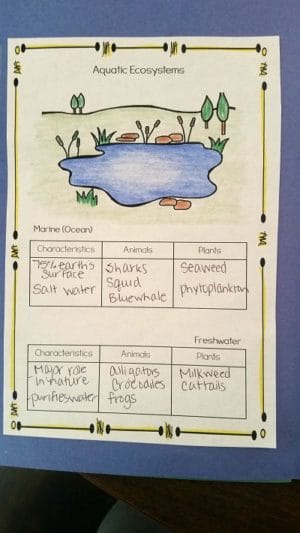 10 Ecosystem Project Ideas - The Owl Teacher